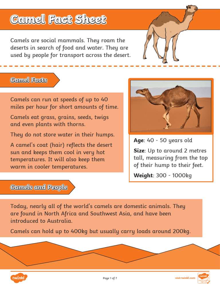 T T 26209 Desert Animals Fact Sheets - Ver - 6 | PDF | Snake | Lizard