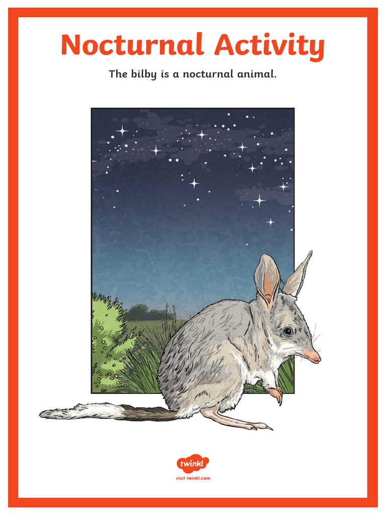 au-t2-s-1037-australian-desert-animal-adaptations-display-posters_ver_2 ...
