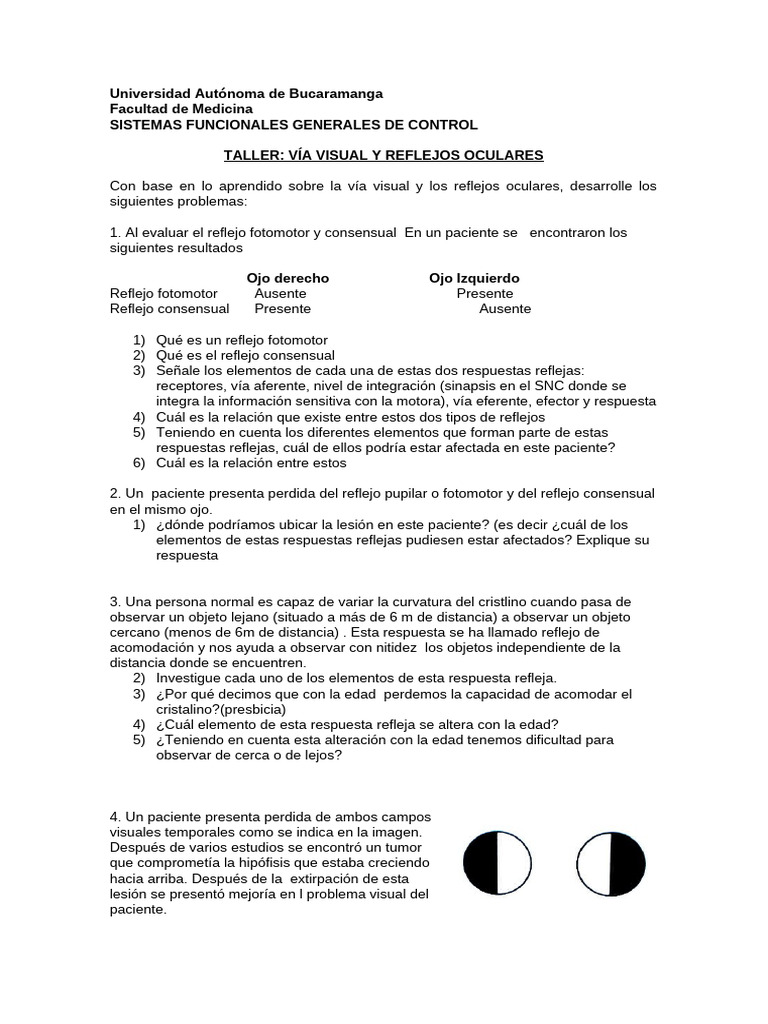 12 - Taller Via Visual y Reflejos | PDF | Percepción visual | Ojo humano
