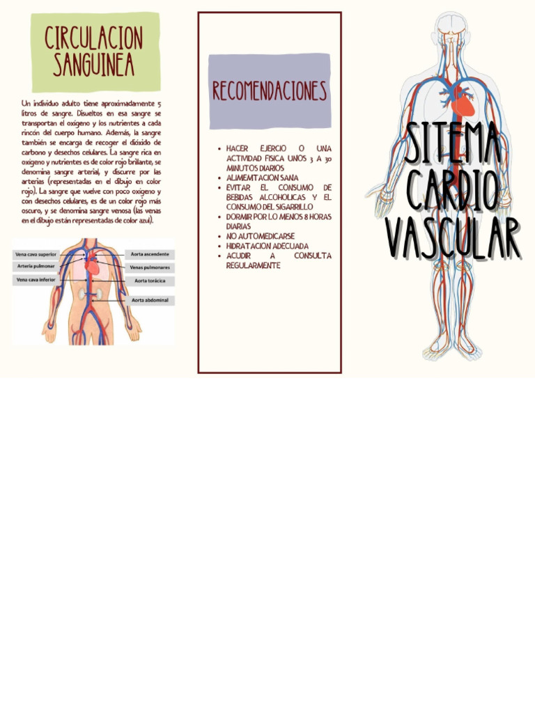 Triptico Lenny | PDF