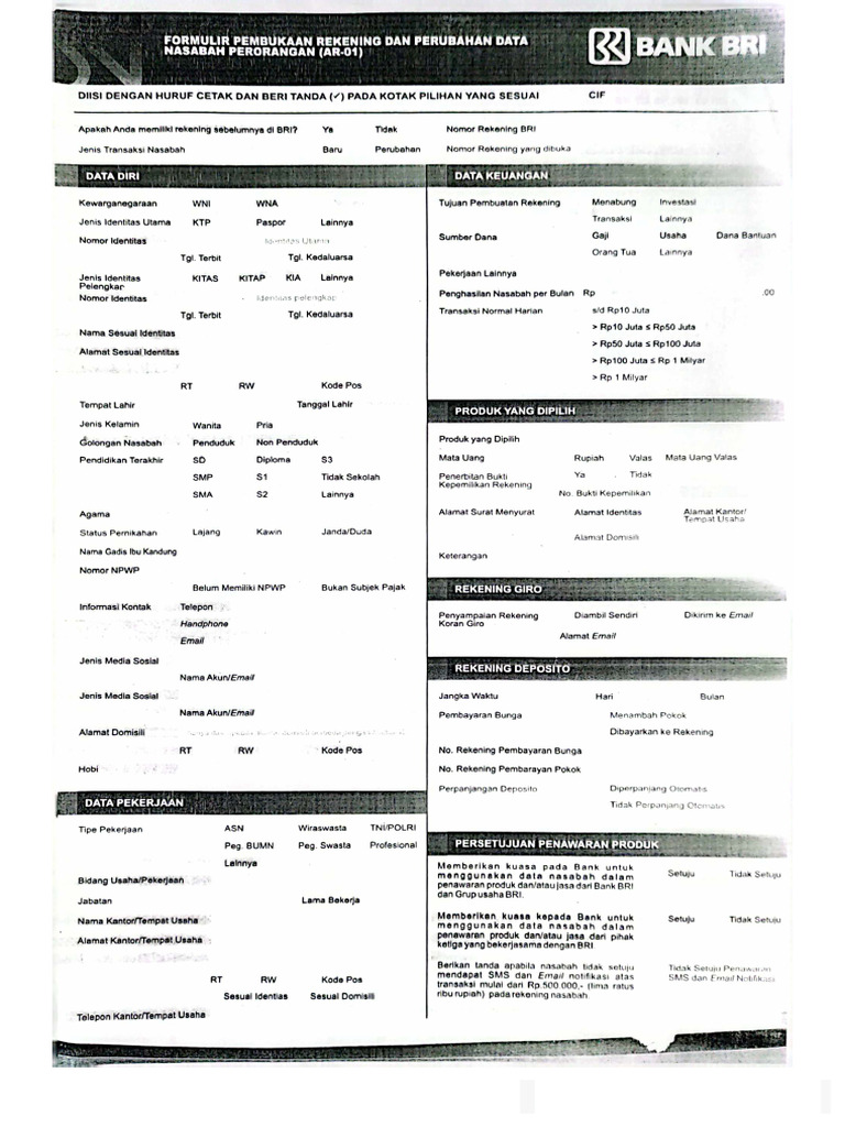 FORMULIR BRI | PDF