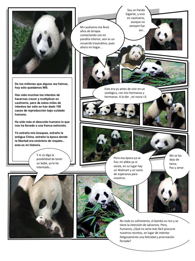 59451536-Panda-Comic | PDF