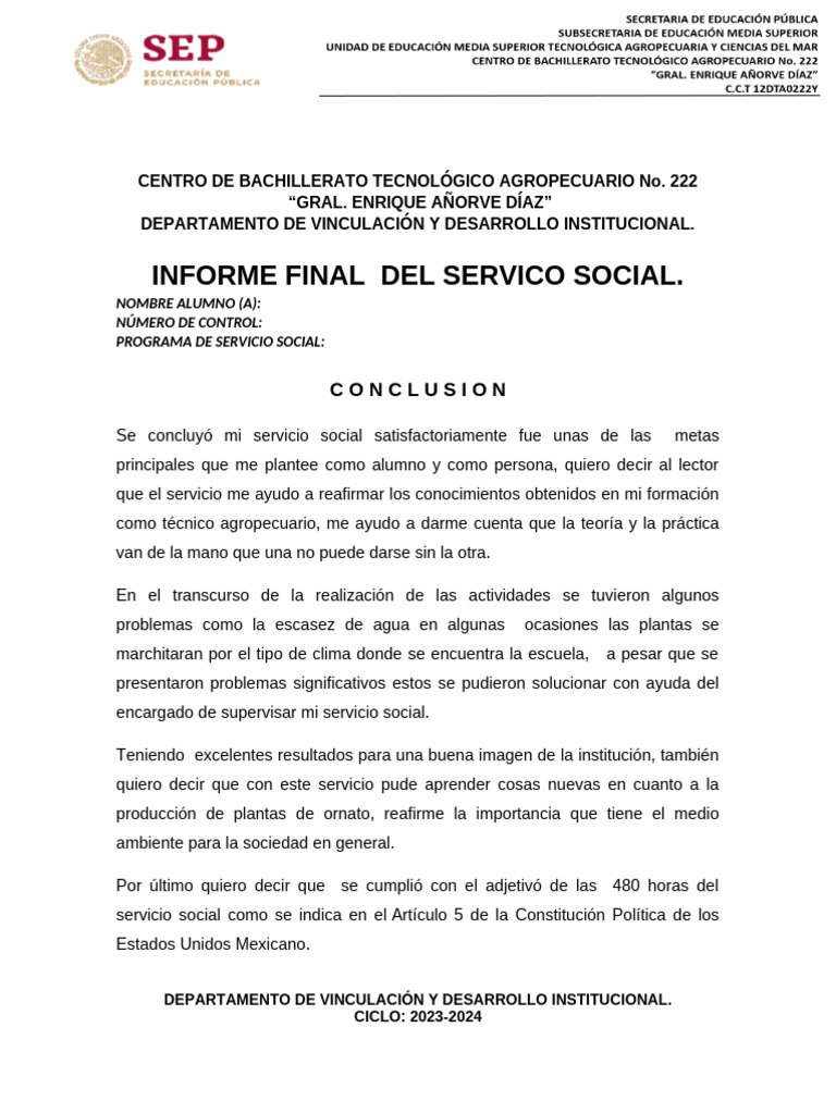 5.-Informe Final Ejemplo | PDF