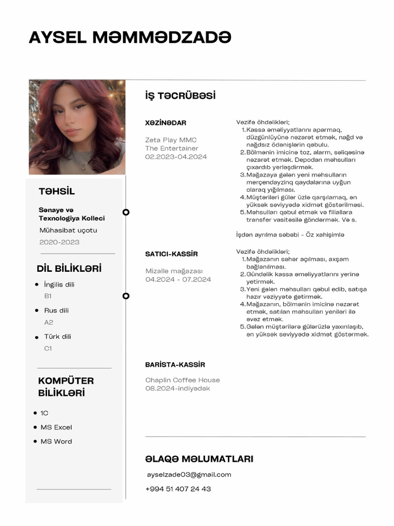 Aysel Cv01 | PDF