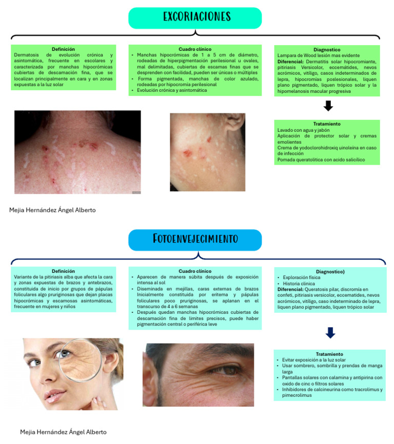 Tarea 42 Excoriaciones y Fotoenvejecimiento | PDF | Dermatología | Piel