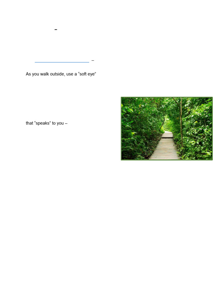 HANDOUT 3 - Mindfulness Exercise Nature Walk | PDF