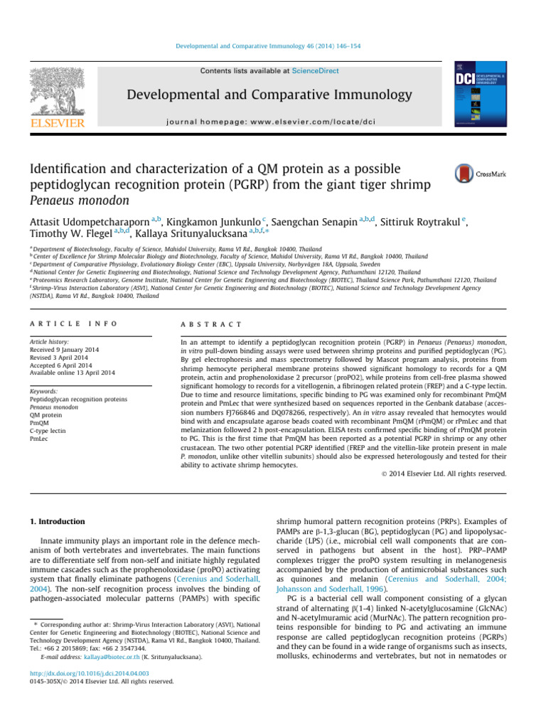 Attasit 2014 Identification and Characterization of A QM Protein As A ...