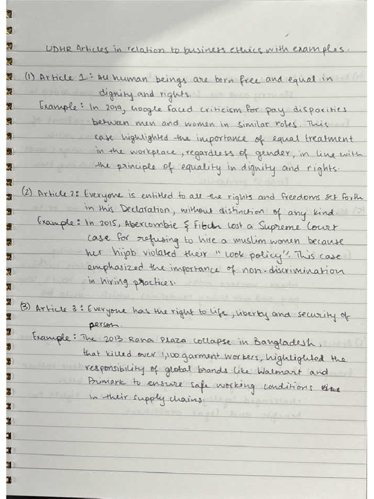 UDHR Articles and Examples | PDF