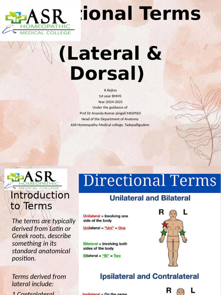Directional Terms-WPS Office | PDF | Anatomical Terms Of Location ...