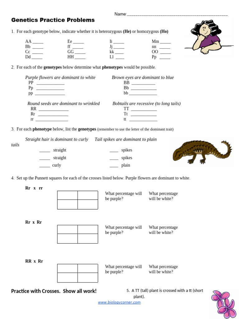 Genetics Practice Problems Worksheet | PDF | Dominance (Genetics ...