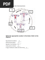 Steps For Performing MVA Using The Ipas MVA Plus and Ipas EasyGrip ...