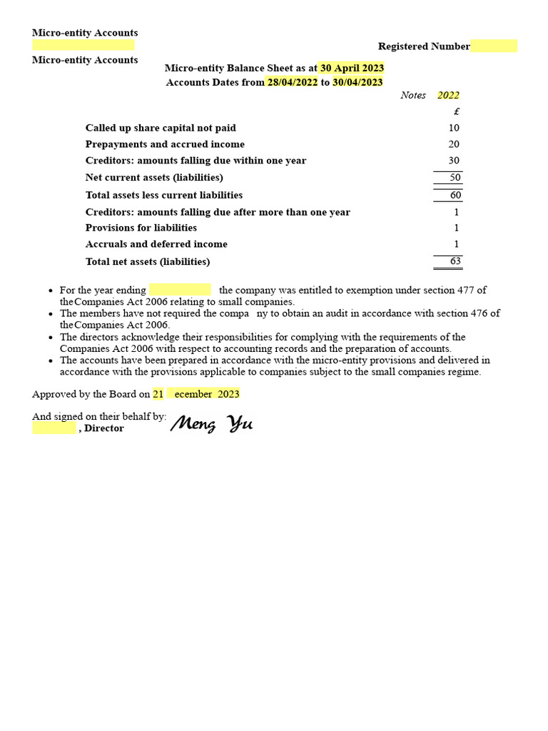 Micro-Entity Balance Sheet 2023 | PDF