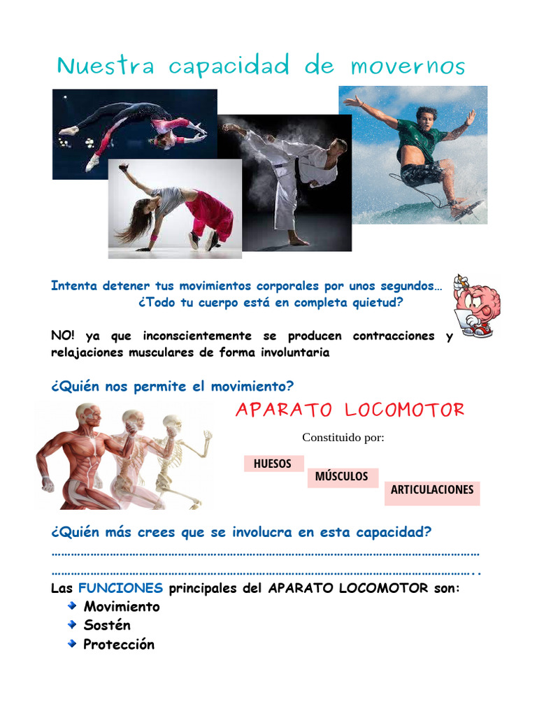 Funciones del Aparato Locomotor | PDF | Hueso | Músculo