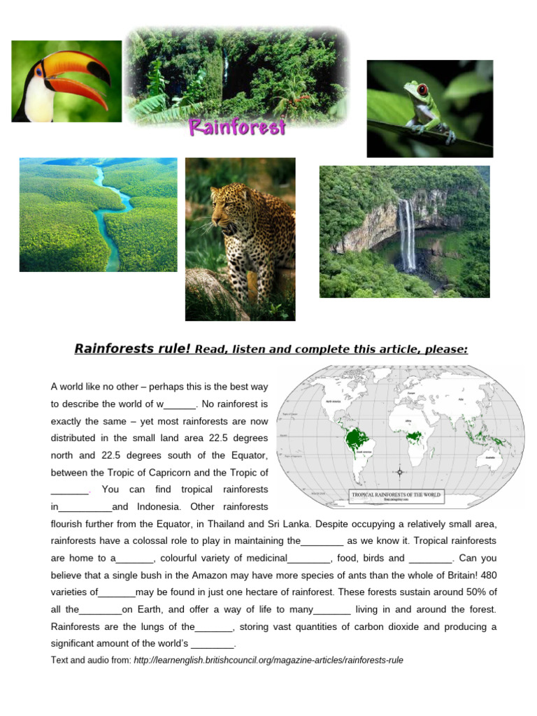 Rainforest-Reading and Listening | PDF | Rainforest | Tropics