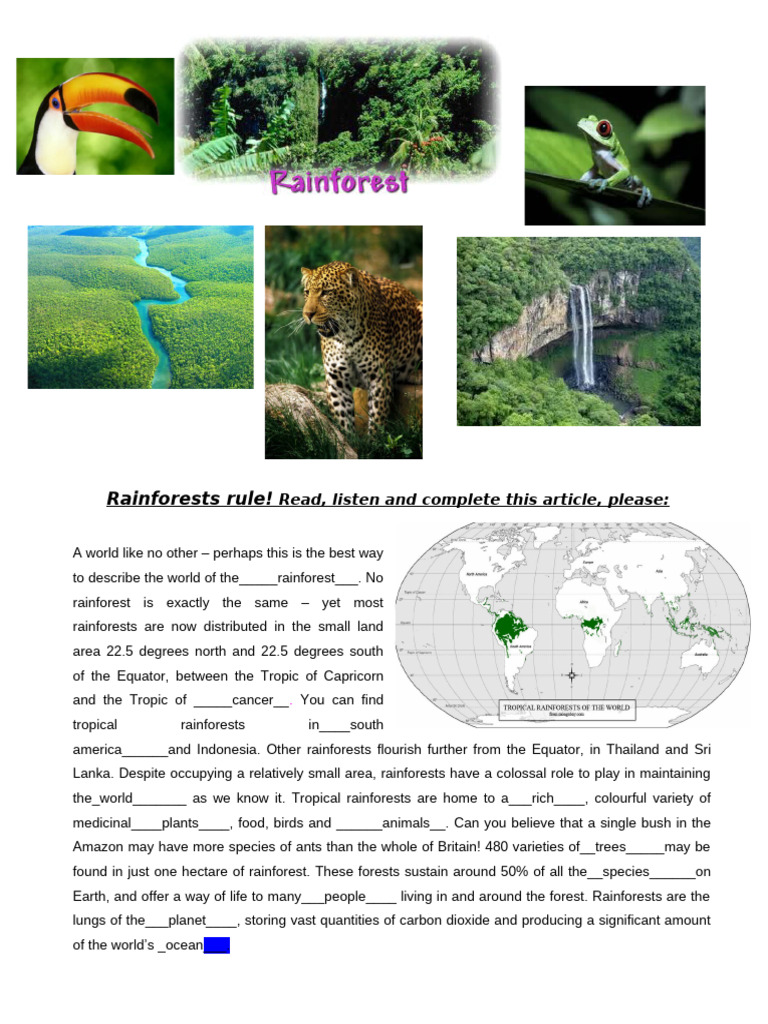 Rainforest-Reading and Listening | PDF | Rainforest | Tropics