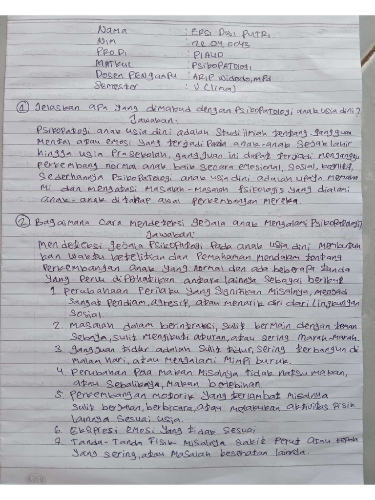 Tugas UAS Ersi Dwi Putri | PDF