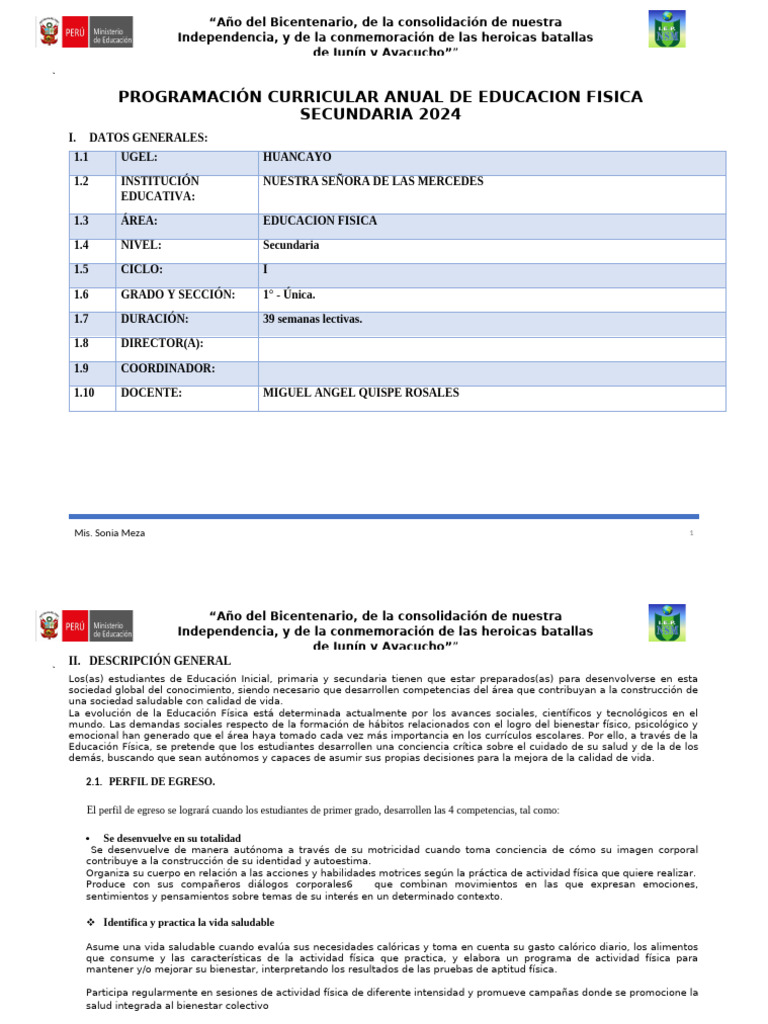 Modelo Planificacion Anual de Matematica | PDF | Números | Geometría