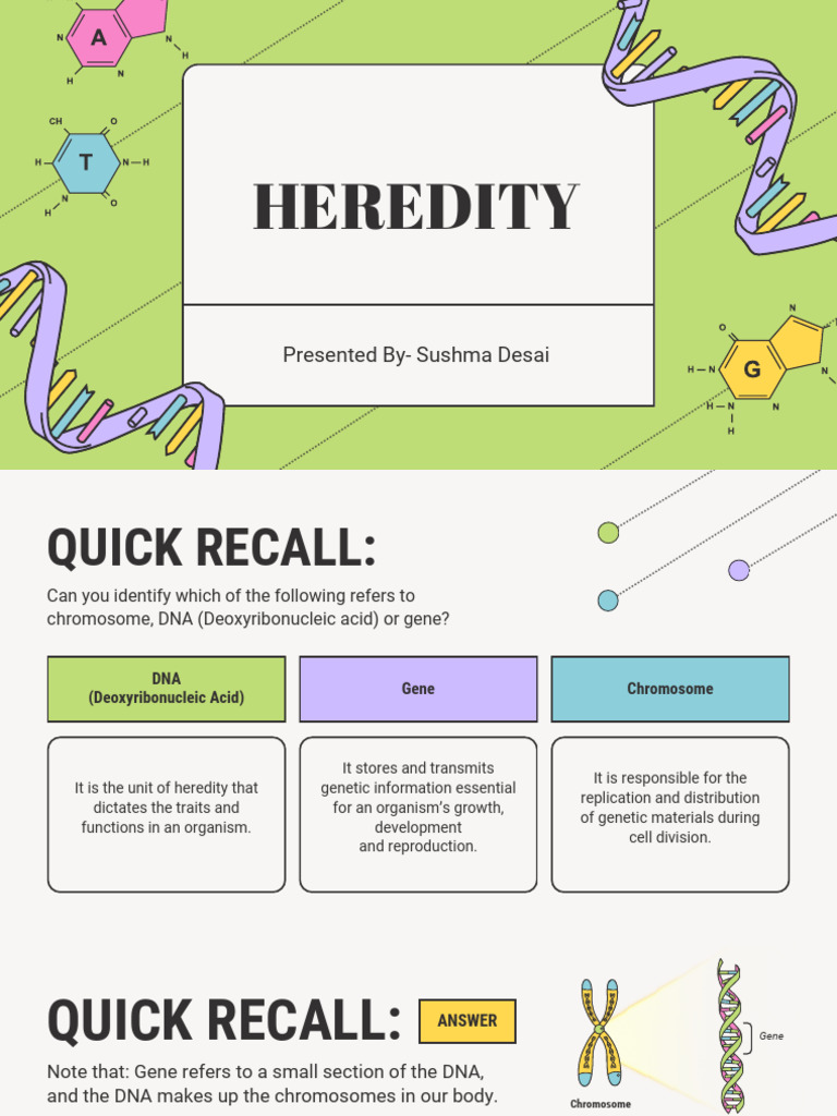 Class 10 Heredity Ppt | PDF | Dominance (Genetics) | Genetics