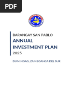AIP 2025 Final (1) | PDF | Budget | Policy