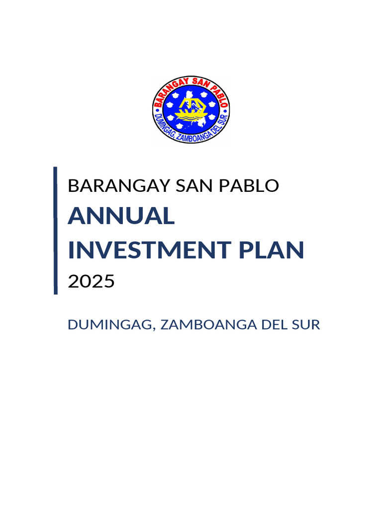 AIP 2025 Final (1) | PDF | Budget | Policy