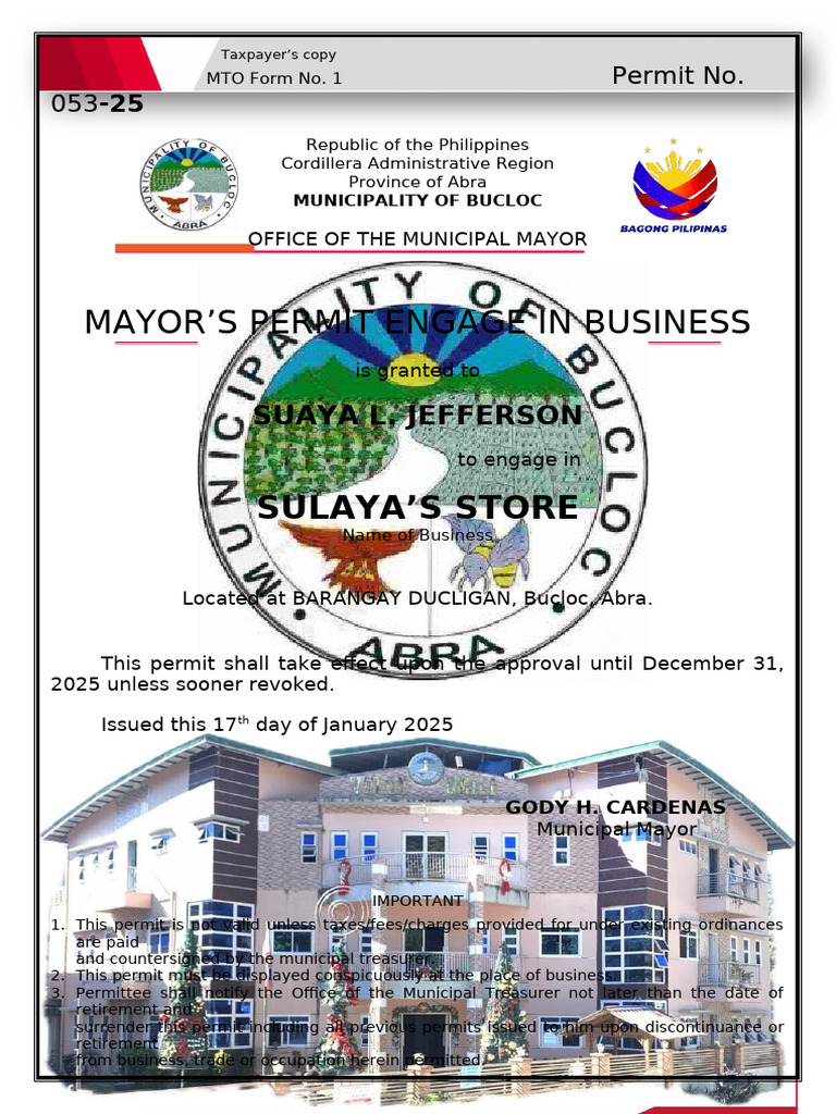 Mayor's Business Permit 2025 Ducligan | PDF