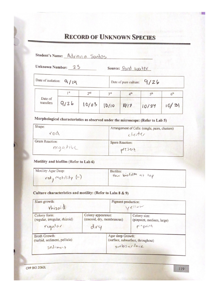 Unknown Report Results | PDF