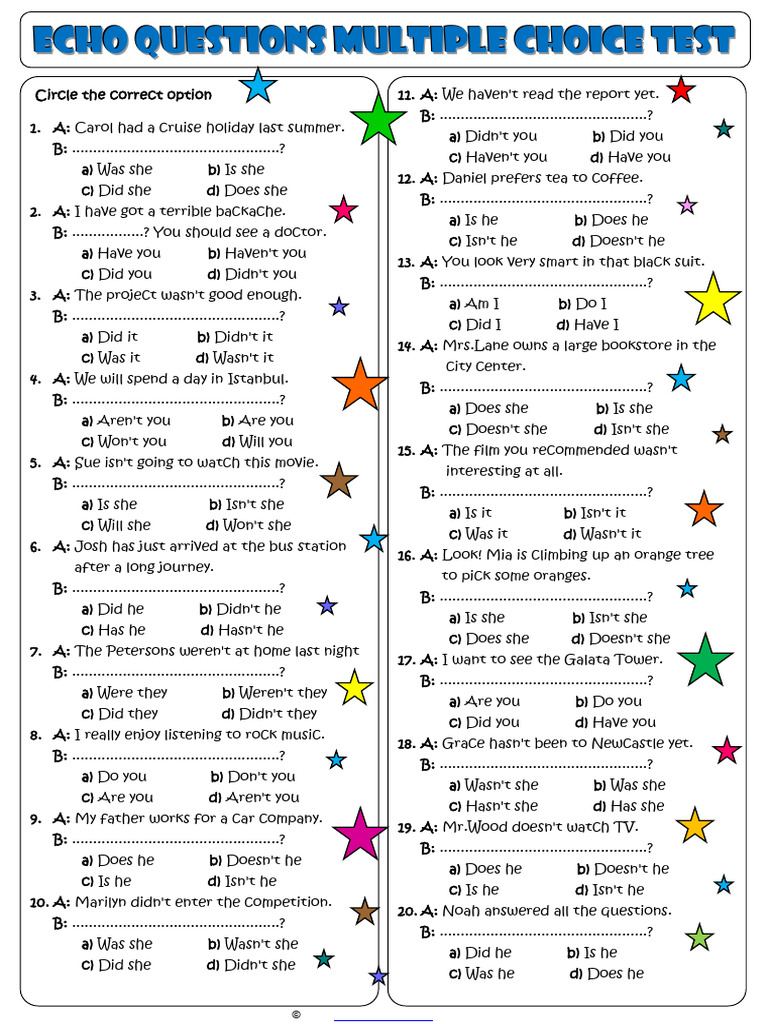 Echo Questions Multiple Choice Test Esl Grammar Worksheet | PDF