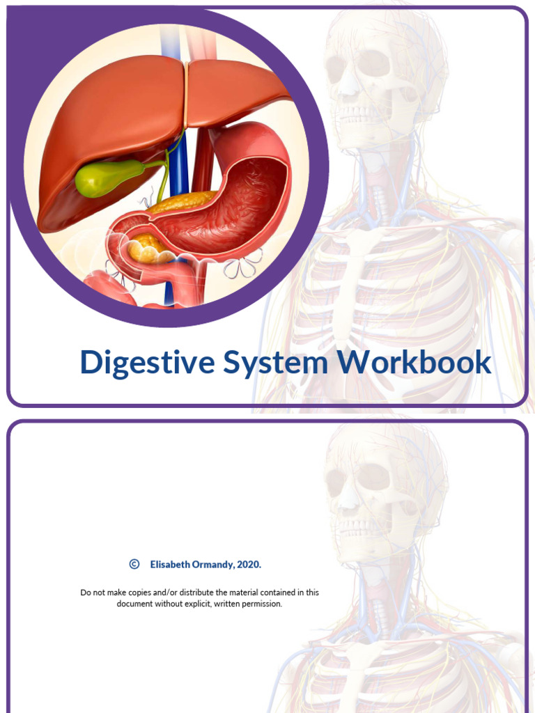 Digestive System Overview Workbook | PDF | Digestion | Human Digestive ...