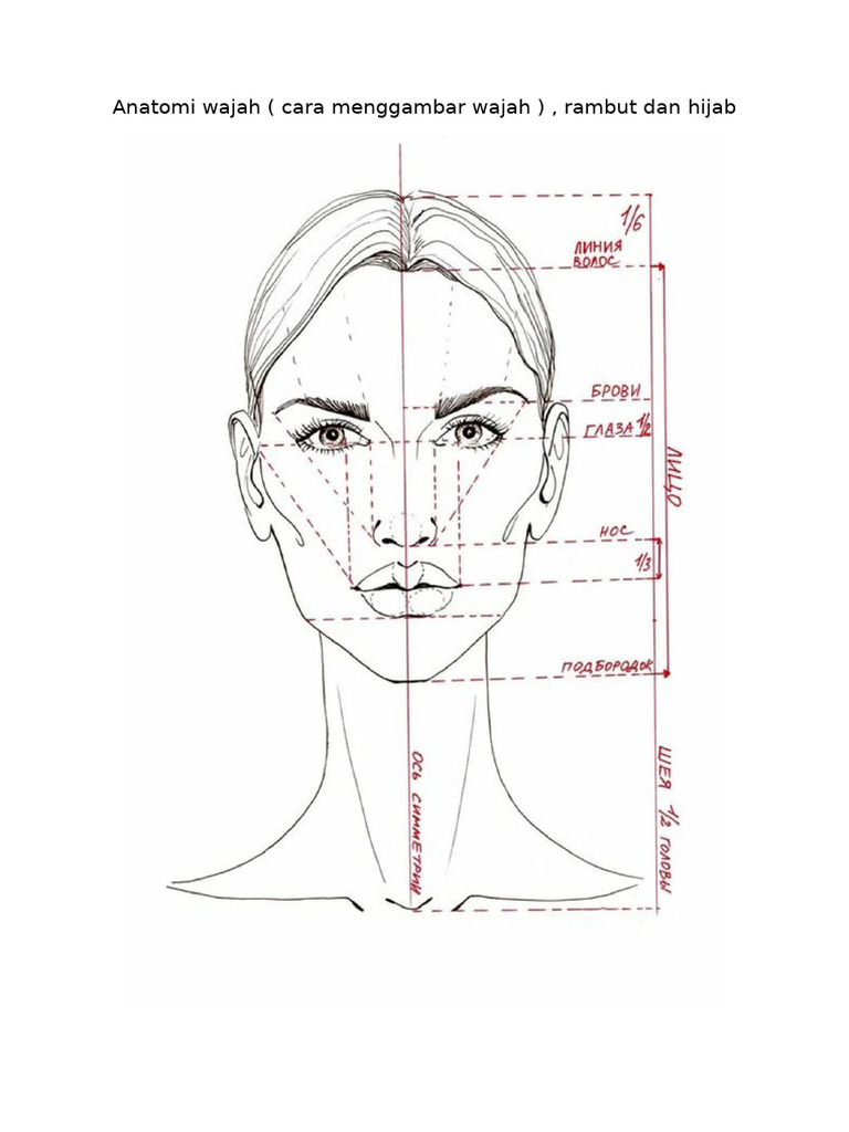 Anatomi Wajah | PDF