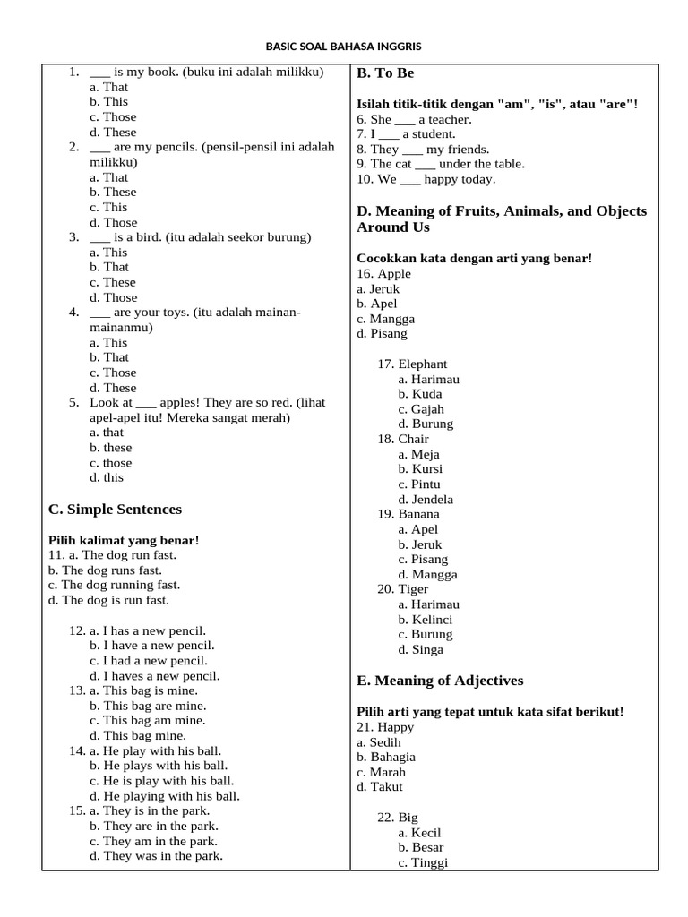 Basic English Questions and Answers | PDF