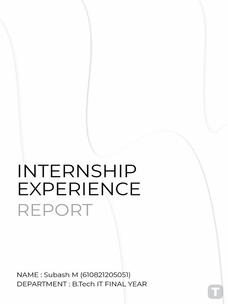 Internship Experience Report | PDF