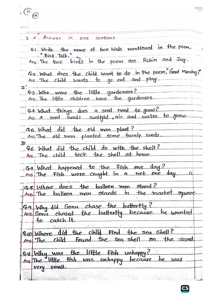 English Revision Answer in One Sentence | PDF