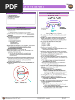 Ob History Form Sss | PDF | Childbirth | Pregnancy