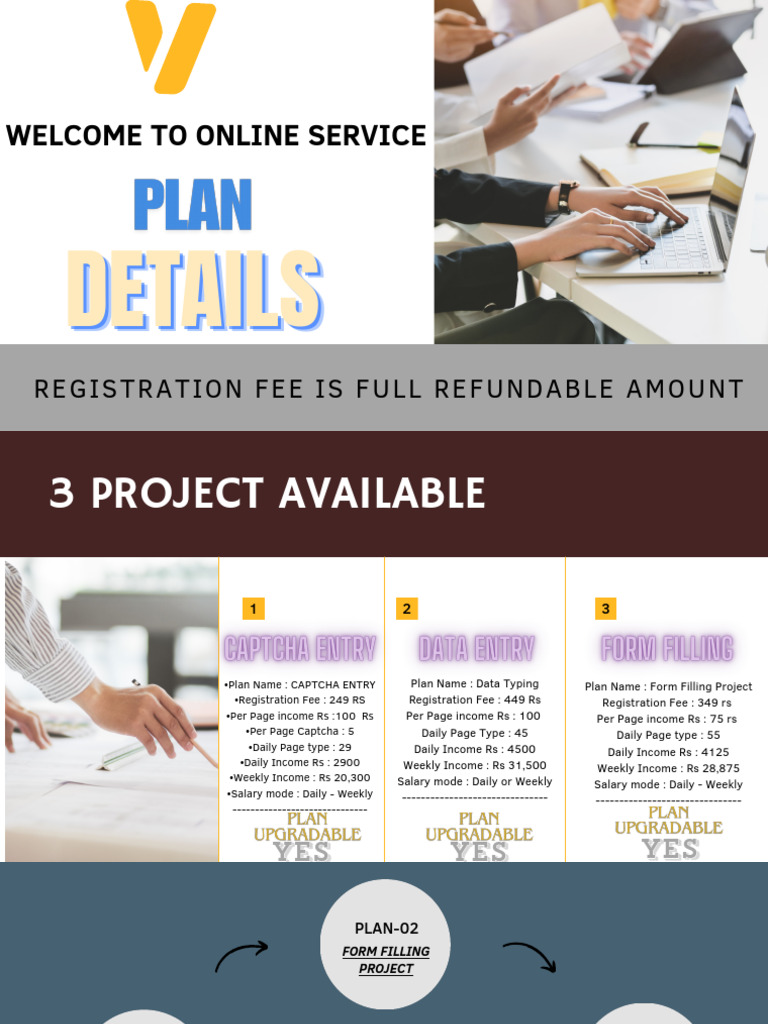 Online Data Entry Job Plans | PDF