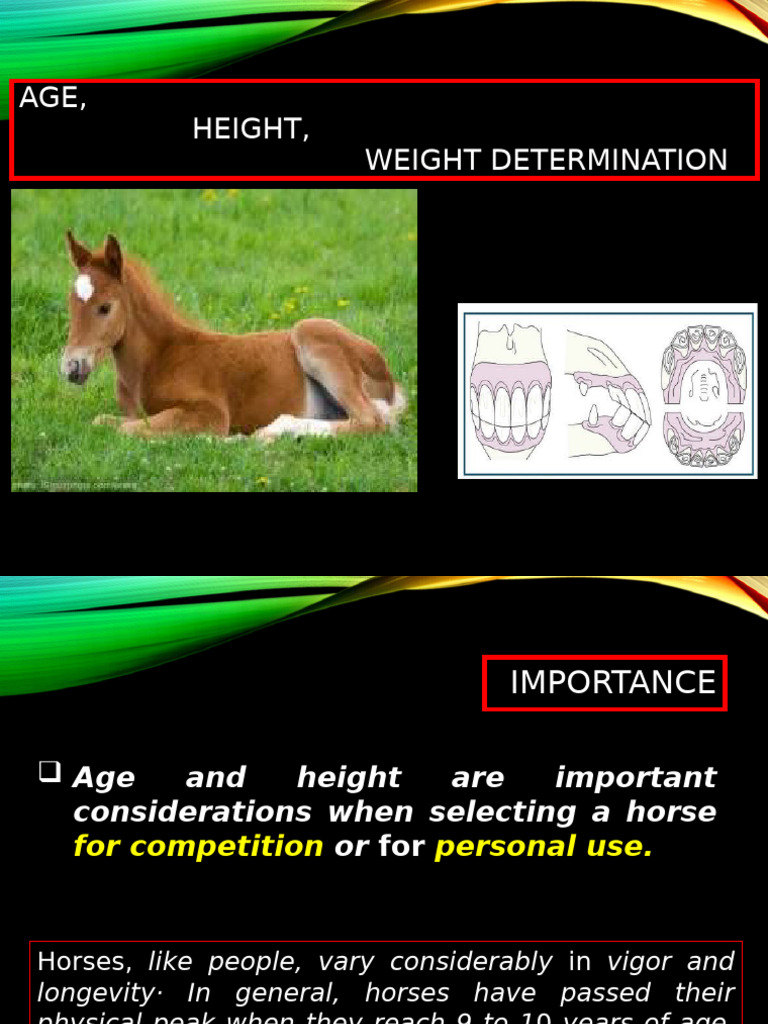 Age Weight Determination in Horses | PDF | Tooth | Horses