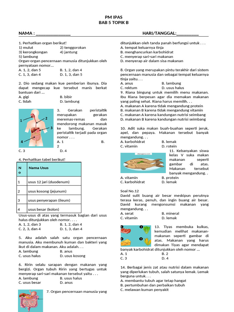 PM Ipas Topik B | PDF