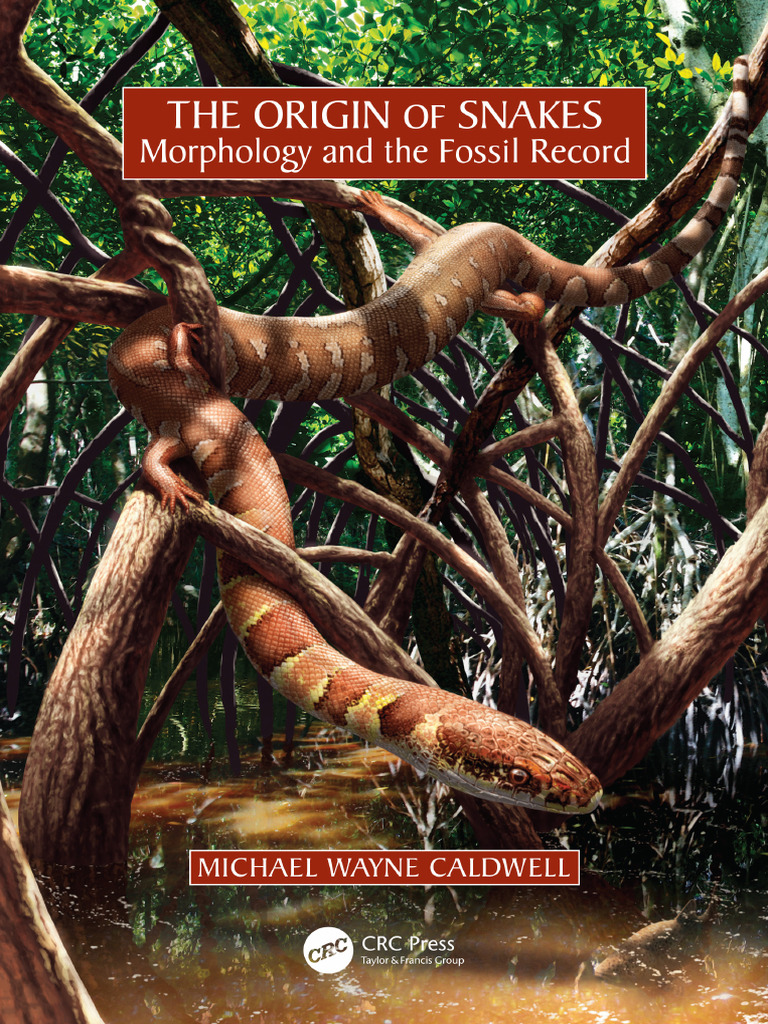 The Origin of Snakes Morphology and The Fossil Record (Caldwell ...