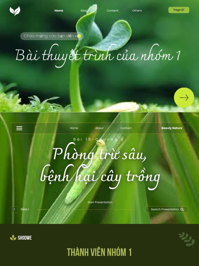 Green Modern Nature Presentation PDF | PDF
