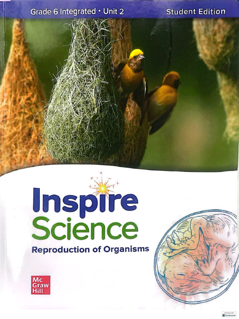 Grade 6 Science | PDF