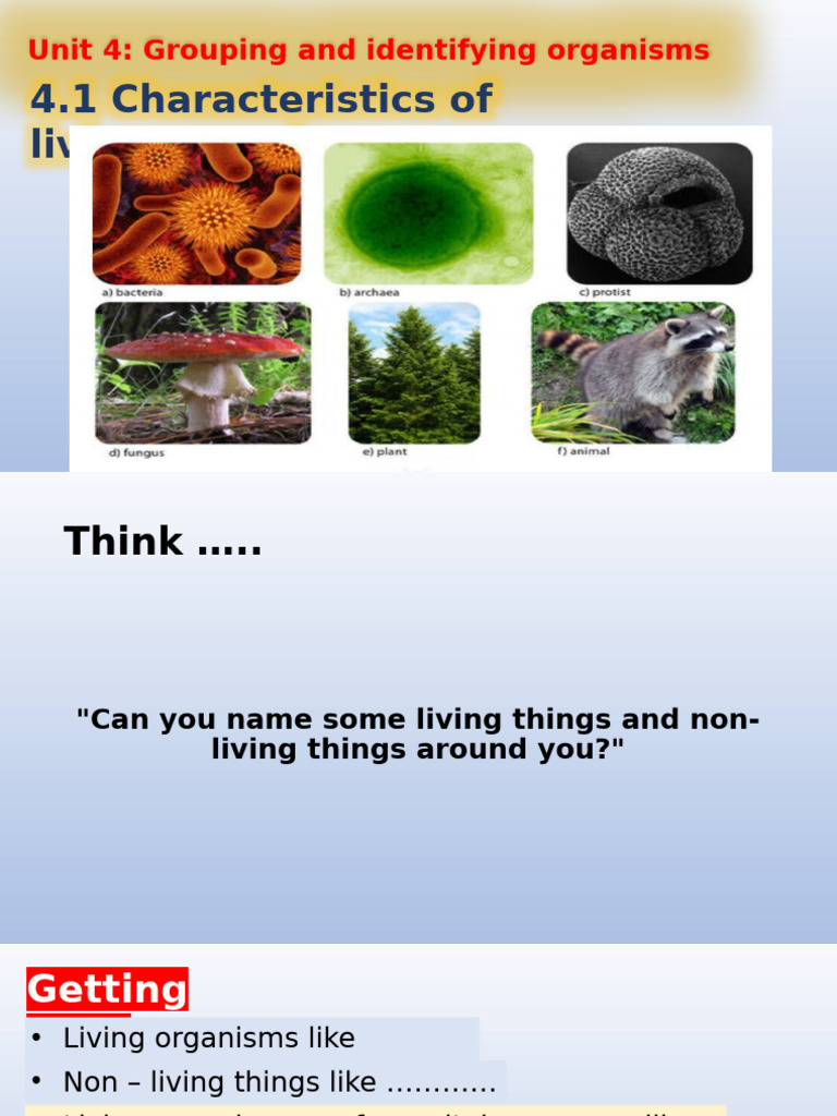 Characteristics of Living Organisms | PDF