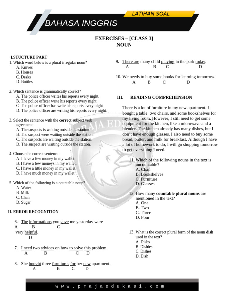 Class 3 Noun Exercises and Comprehension | PDF | Noun | Linguistics