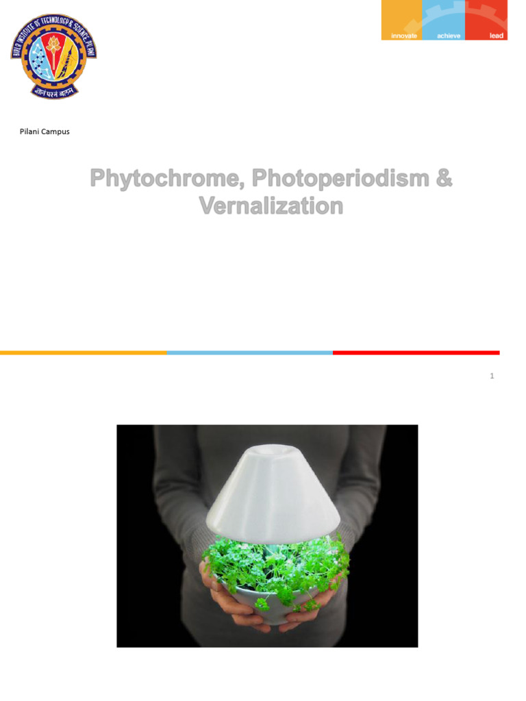 Lecture 38-40 (Phytochrome, Photoperiodism Vernalization) | PDF ...