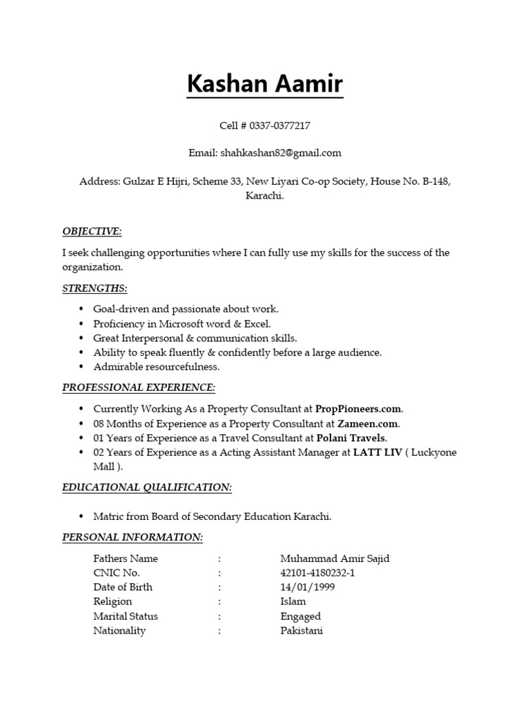 Kashan Amir- Resume | PDF