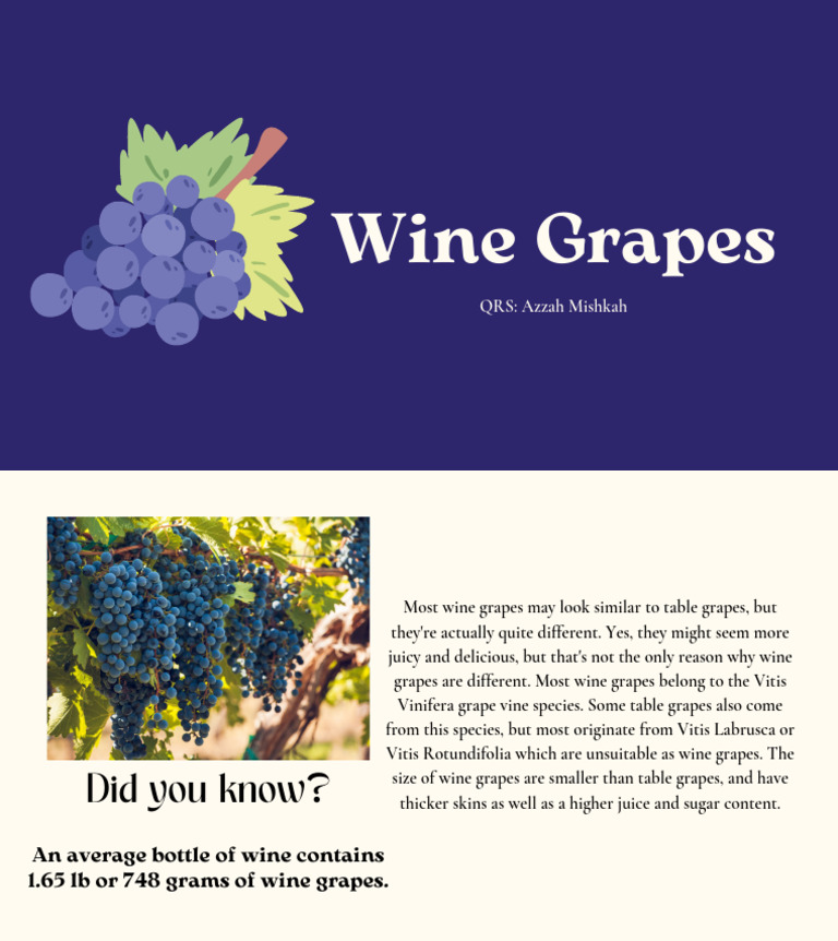 Wine Grapes | PDF