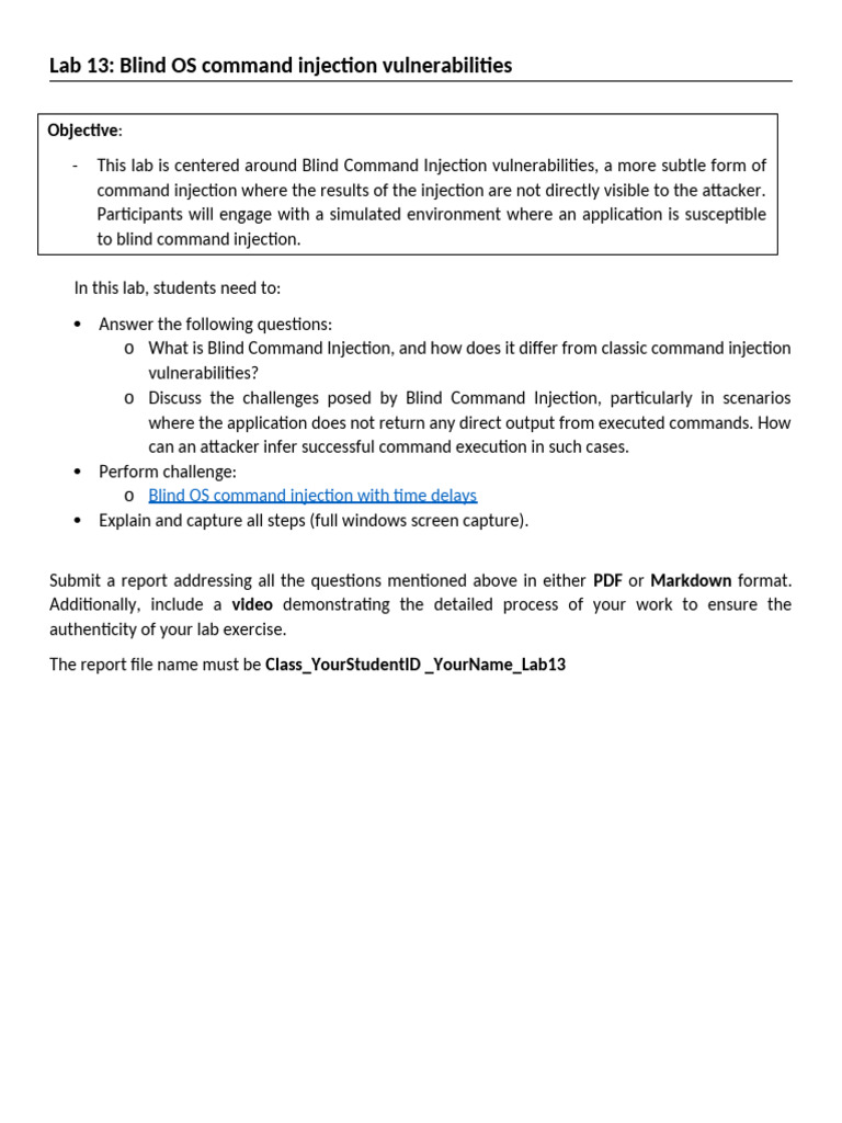Lab13 Blind OS Command Injection Vulnerabilities | PDF