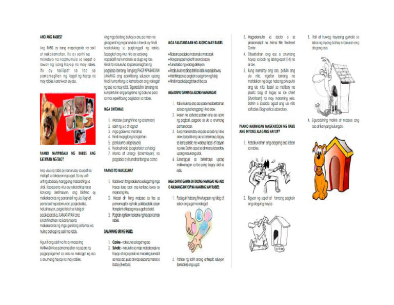 Rabies | PDF