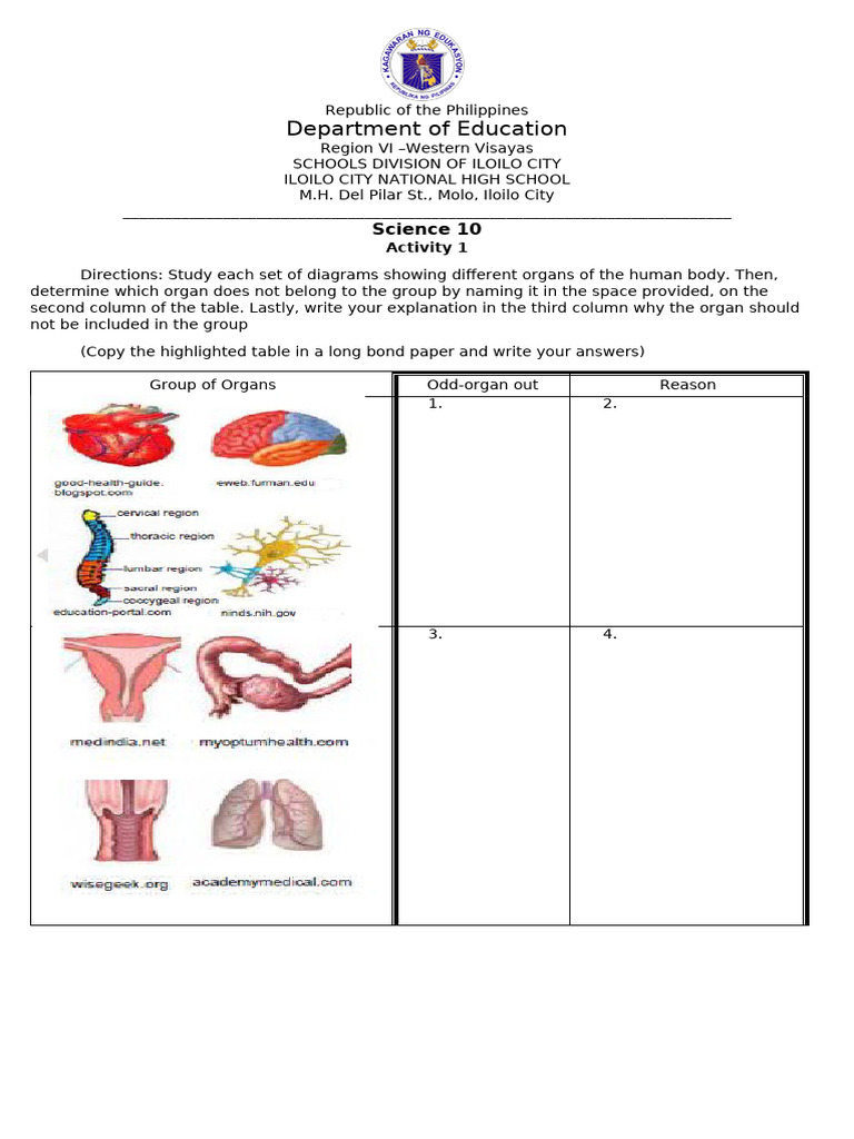Activity-1-Odd-organ-Out | PDF