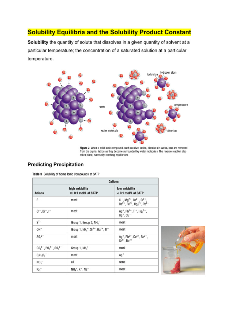Solubility Equilibria and The Solubility Product Constant | PDF