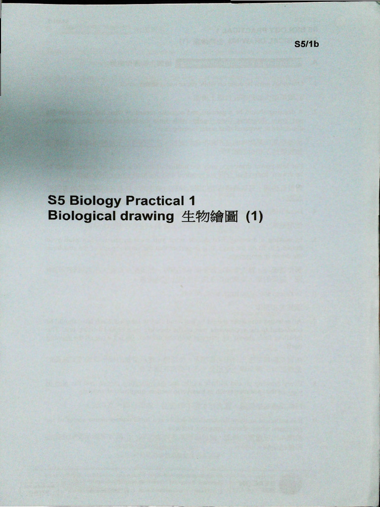 Practical 1 Biological Drawing | PDF | Plant Stem | Botany
