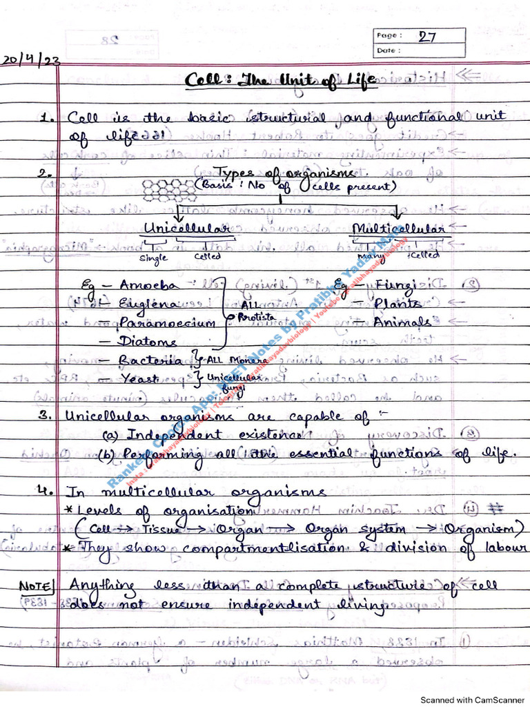 Ch8 Cell The Unit of Life - 42538064 - 2024 - 12 - 07 - 01 - 43 | PDF